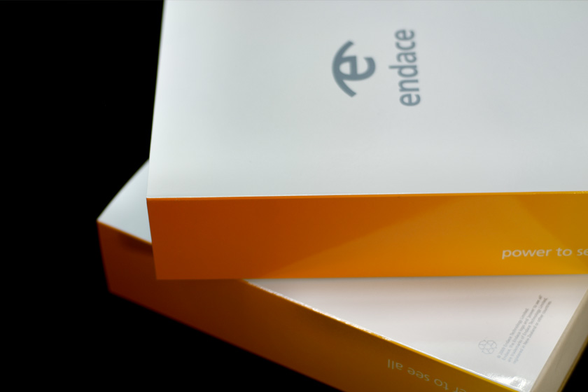 Endace - Branding, Graphic Design Company Auckland New Zealand. Everything